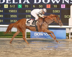 Delta Downs Live Horse Racing Schedule, Picks, & Track News