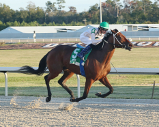 Delta Downs Live Horse Racing Schedule, Picks, & Track News