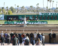Turf Paradise Picks, Live Horse Racing Track Schedule, & News