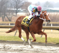 Parx Racetrack Live Horse Racing Schedule, Picks, & News Today