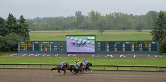Finger Lakes Race Track Picks, Live Horse Racing Schedule, & News