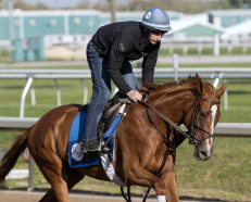 Fair Grounds Race Course: New Orleans Live Horse Racing Events