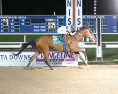 Evangeline Downs Picks, Live Horse Racing Schedule, & News