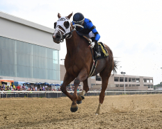 Thistledown Racetrack Picks, Live Horse Racing Schedule, & News