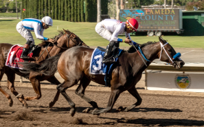 Pleasanton Race Track Schedule, Picks & Live Horse Racing News