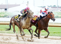 Horseshoe Indianapolis Racetrack Picks & Live Racing News | DRF