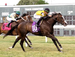 Parx Racetrack Live Horse Racing Schedule, Picks, & News Today