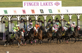 Finger Lakes Race Track Picks, Live Horse Racing Schedule, & News