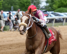 Belterra Park Racetrack: Live Horse Racing News & Schedule