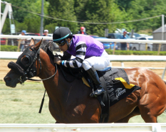 Belterra Park Racetrack: Live Horse Racing News & Schedule