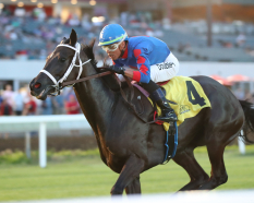 Lone Star Park Entries, Live Horse Racing Track Schedule, & News