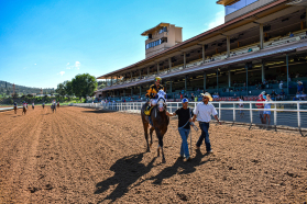 Ruidoso Downs Race Track News, Picks, & Horse Racing Schedule