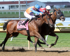 Horseshoe Indianapolis Racetrack Picks & Live Racing News | DRF