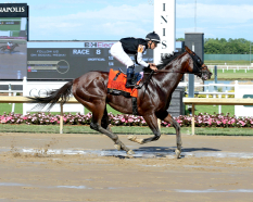 Horseshoe Indianapolis Racetrack Picks & Live Racing News | DRF