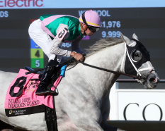 Horseshoe Indianapolis Racetrack Picks & Live Racing News | DRF