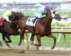 Horseshoe Indianapolis Racetrack Picks & Live Racing News | DRF