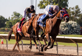 Pleasanton Race Track Schedule, Picks & Live Horse Racing News