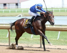 Horseshoe Indianapolis Racetrack Picks & Live Racing News | DRF