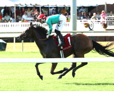 Colonial Downs | Horse Racing Track News | DRF