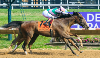 Delaware Park Picks, Live Horse Racing Schedule, & Track News