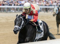 Parx Racetrack Live Horse Racing Schedule, Picks, & News Today