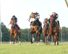 Colonial Downs Racetrack Picks, Horse Racing Schedule, & News
