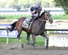 Parx Racetrack Live Horse Racing Schedule, Picks, & News Today