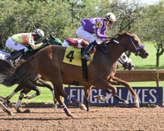 Finger Lakes Race Track Picks, Live Horse Racing Schedule, & News