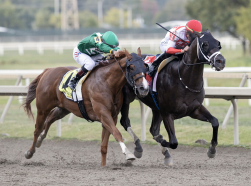 Parx Racetrack Live Horse Racing Schedule, Picks, & News Today