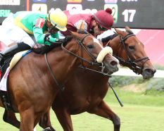 Colonial Downs Racetrack Picks, Horse Racing Schedule, & News