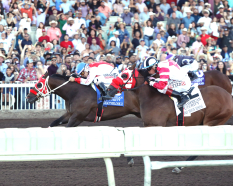 Horse Racing Track News, Picks & Race Schedules in Albuquerque