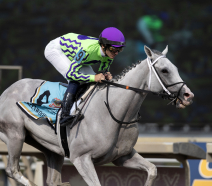 Parx Racetrack Live Horse Racing Schedule, Picks, & News Today