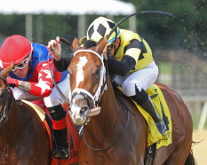 Louisiana Downs Picks, Live Horse Racing Schedule & Track News