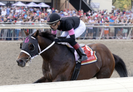 Parx Racetrack Live Horse Racing Schedule, Picks, & News Today
