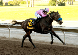 Pleasanton Race Track Schedule, Picks & Live Horse Racing News