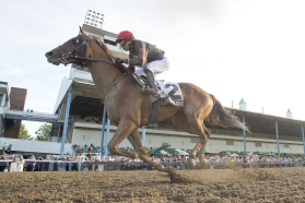 Fort Erie Racetrack Picks, Live Horse Racing Schedule, & News