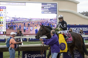 Breeders' Cup Entries, Picks, Results & News | Daily Racing Form