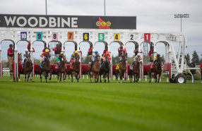 Woodbine Racetrack Live Horse Racing News & Picks Today | DRF