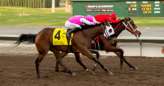 Pleasanton Race Track Schedule, Picks & Live Horse Racing News