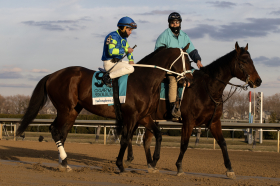 Zia Park Racetrack Picks, Live Horse Racing Schedule, & News