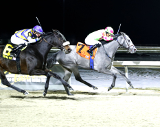 Turfway Park: Live Horse Racing Schedule, Track Events, & News