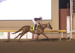 Sam Houston Race Park Live Horse Racing Schedule & Track News