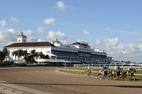 Gulfstream Park Race Course: Horse Racing Track News in Florida