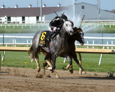 Horseshoe Indianapolis Racetrack Picks & Live Racing News | DRF