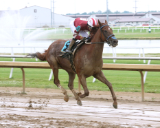 Horseshoe Indianapolis Racetrack Picks & Live Racing News | DRF
