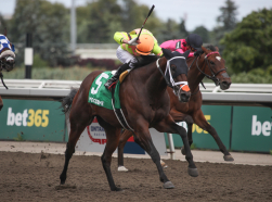 Daily Racing Form | Horse Racing | Entries | Results | PPs (Past ...