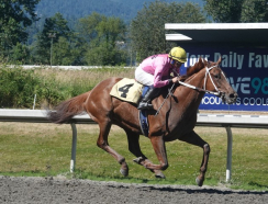 Hastings Racecourse Live Horse Racing Track News & Schedules