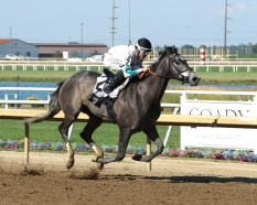Horseshoe Indianapolis Racetrack Picks & Live Racing News | DRF