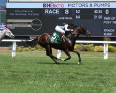 Horseshoe Indianapolis Racetrack Picks & Live Racing News | DRF