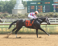 Belterra Park Racetrack: Live Horse Racing News & Schedule